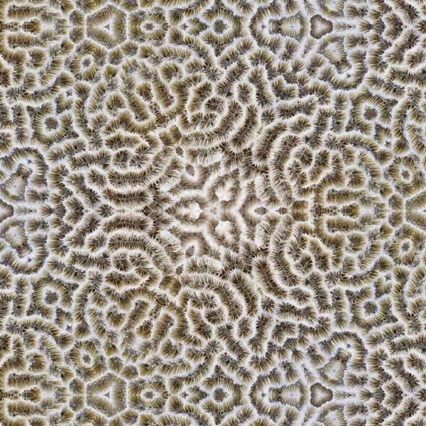 Psy Art Psychedelic Patterns On Clothing Bags And Accessories